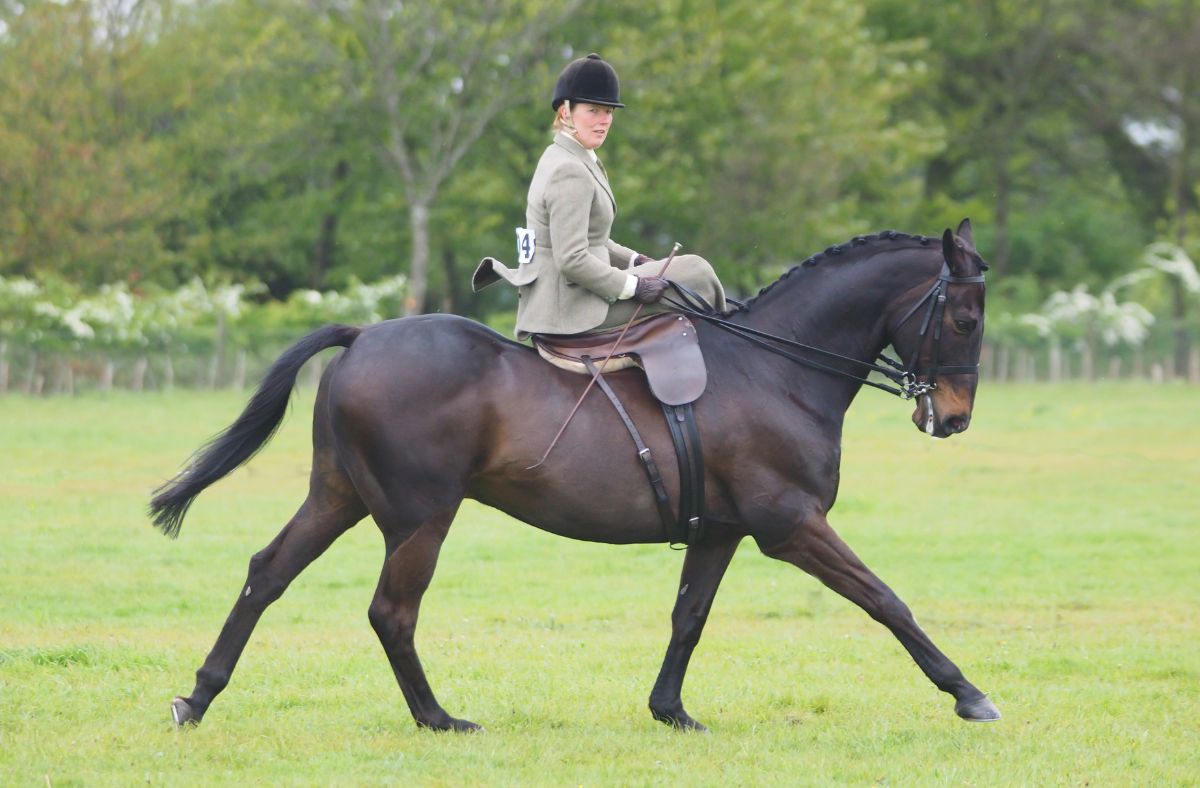 Side-Saddle Riding: A Brief History | Coruba